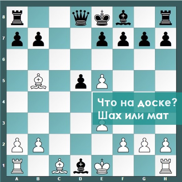 ABCHESS – Online Chess Learning Ecosystem